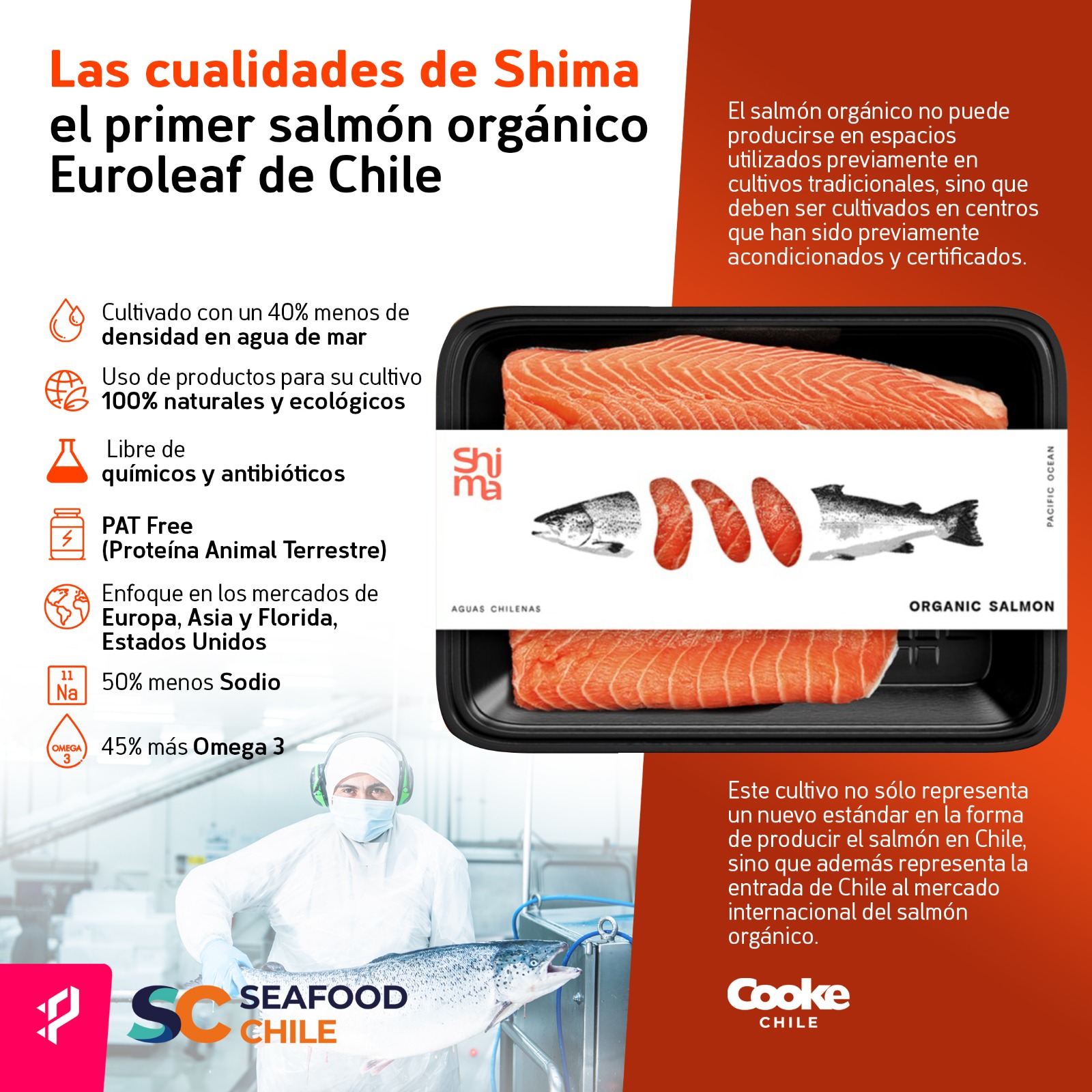 Las cualidades de Shima, primer salmón orgánico Euroleaf de Chile - Seafood